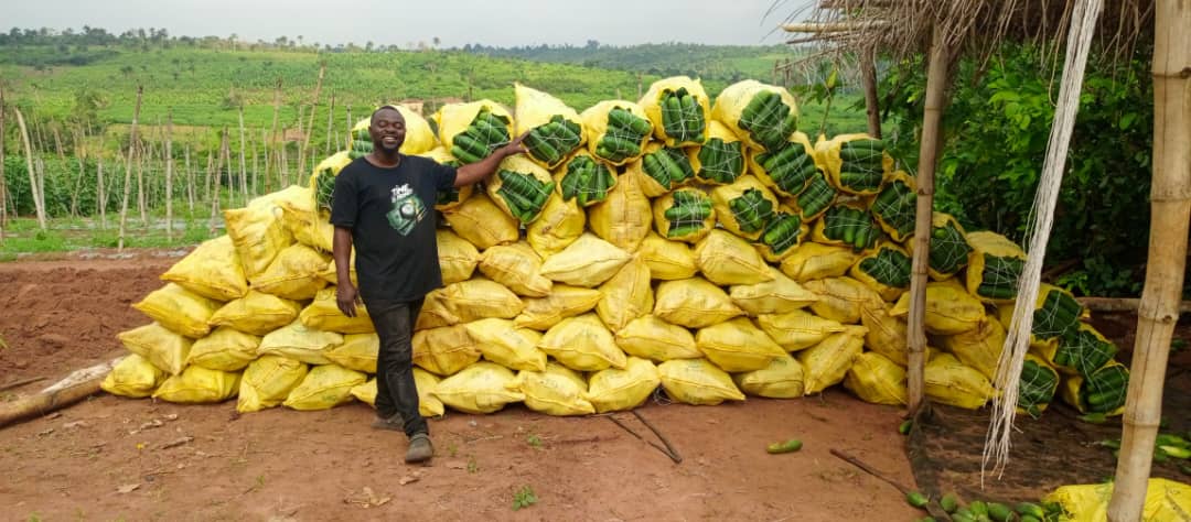 Consultancy Services | John Wealth Agro Channel